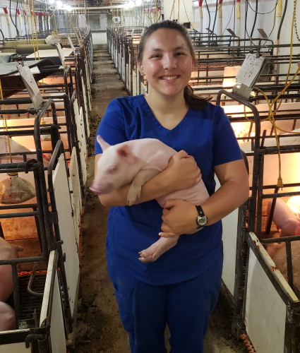 Internship Program – Minnesota Hog & Pork Producers | Schwartz Farms