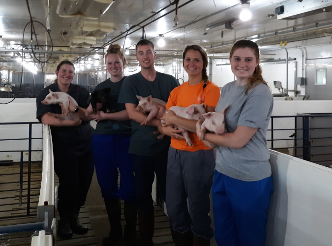 Internship Program – Minnesota Hog & Pork Producers | Schwartz Farms